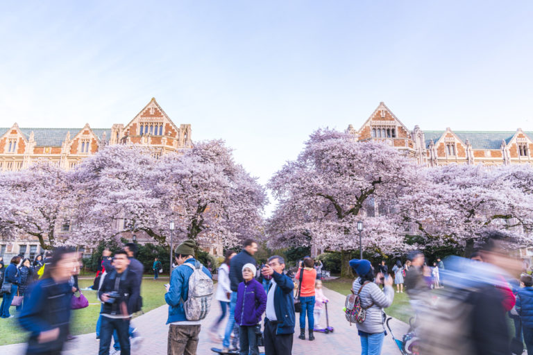 529 Plans: How to Plan for Merit Aid