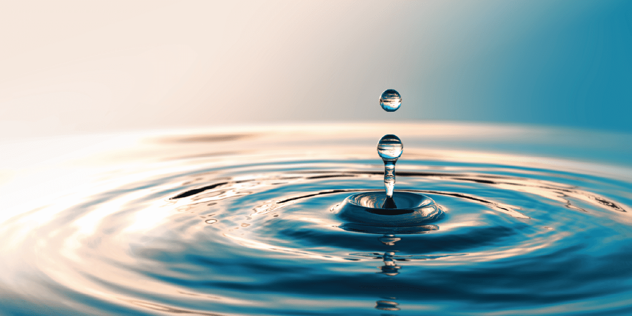 Invest With Impact: Grow Your Wealth, Reflect Your Values